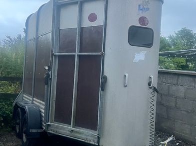 Ifor Williams 505 Horsebox For Sale in Athy, Kildare from Sinnychar