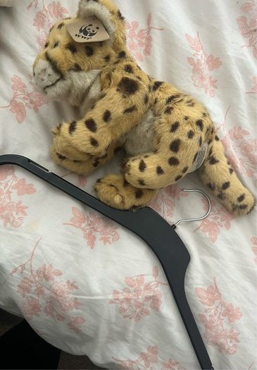 Wwf Teddy Cheetah For Sale in Tallaght, Dublin from Stephie