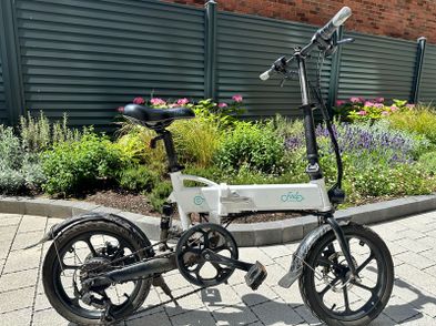 Fiido D2s Electric And Folding Bike For Sale in Dublin 1, Dublin from ...