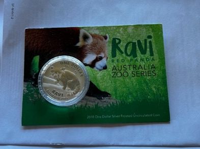 Red Panda Silver Coin For Sale in Cork City Centre, Cork from Lukecreech9