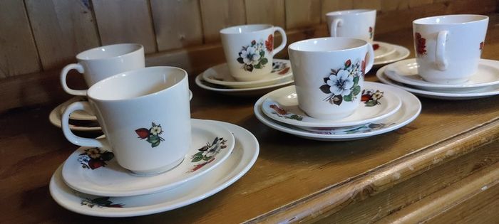 Czechoslovakia Tea Set For Sale in Clontarf, Dublin from obrienk7