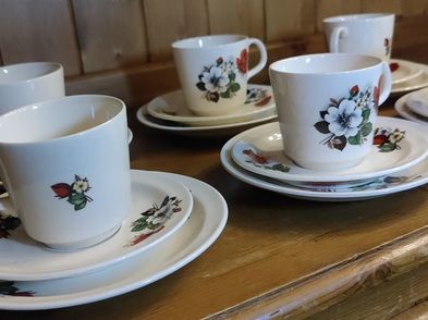 Czechoslovakia Tea Set For Sale in Clontarf, Dublin from obrienk7