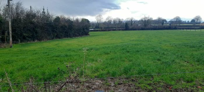 Land To Let Murroe Co Limerick For Sale in Murroe, Limerick from benin1