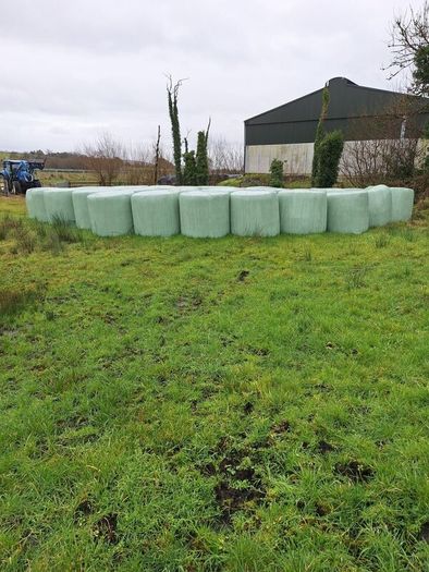 Silage Bales For Sale in Collooney, Sligo from donedealuser (#18b54a)