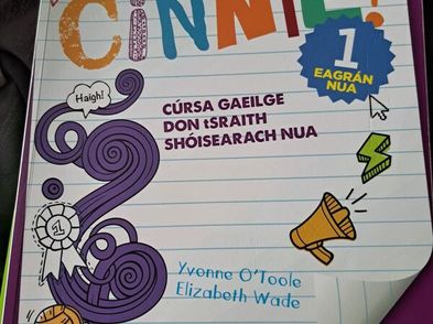 Cinnte 1 Textbook And Workbook For Junior Cert For Sale in Santry ...