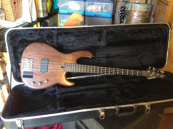 Modulus Flea Bass For Sale in Arklow, Wicklow from JEAPRODUCTIONS