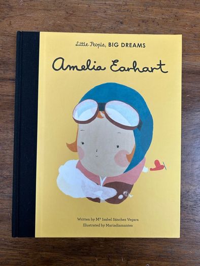Little People Big Dreams Amelia Earhart For Sale in Terenure, Dublin ...