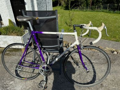 Raleigh Dynatech For Sale in Dublin 13, Dublin from celt67