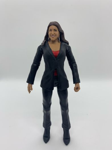 Wwe Stephanie Mcmahon Action Figure For Sale in Kiltimagh, Mayo from ...