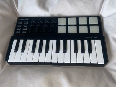 Worlde Panda Mini Midi Keyboard For Sale in Crumlin, Dublin from wsean