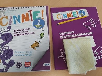Cinnte 1 Eagran Nua Junior Cycle Irish For Sale in Dundrum, Dublin from ...