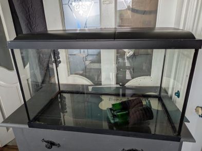 60l Fish Tank For Sale in Shrule, Mayo from Emmie Fumagall