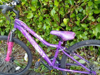 Apollo Independence Junior Mountain Bike For Sale in Dunboyne, Meath ...