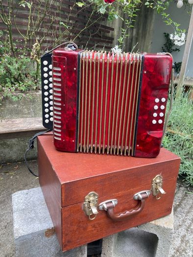 Button Accordion For Sale in Dublin 1, Dublin from andreaskvk