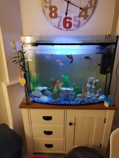 Large Aquarium Fishtank For Sale in Whitehall, Dublin from Fluffypeach