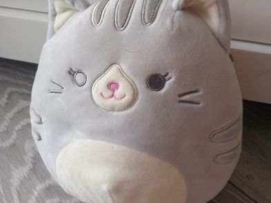 Squishmallow Tally Grey Cat For Sale in Rathfarnham, Dublin from ...