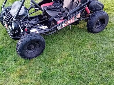 Quadzilla Wolf Buggy For Sale For Sale in Daingean, Offaly from markait