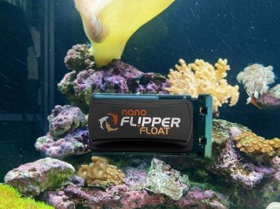 Float Nano 6mm Magnetic Aquarium Tank Algae Cleaner Scrubber Scraper ...