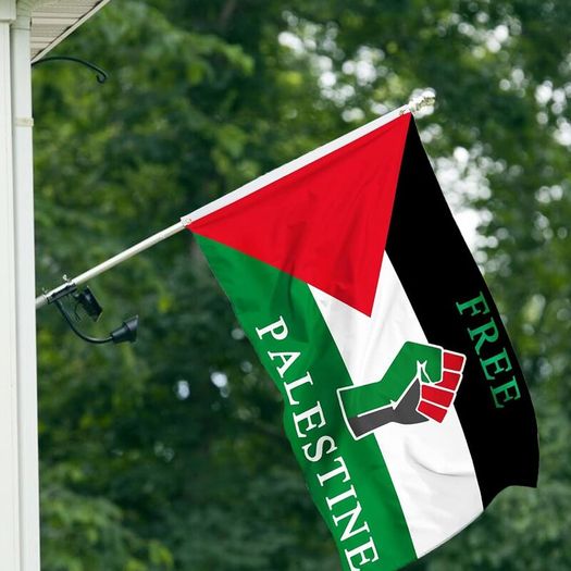 3x5 Ft Palestine Flag Large Free Palestine Flag Durable Palestinian ...