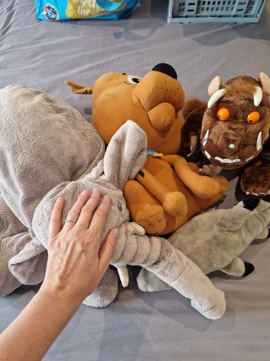 Plush Toys Bundle For Sale in Royal Canal Park, Dublin from sunshine135