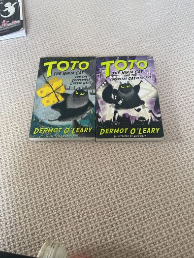 Toto The Ninja Cat X 2 Kids Books For Sale in Celbridge, Kildare from ...
