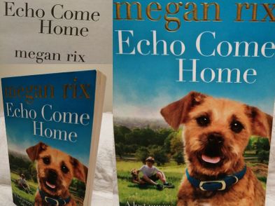 Echo Come Home Megan Rix Childrens Book For Sale in Mayo, Mayo from tuckers