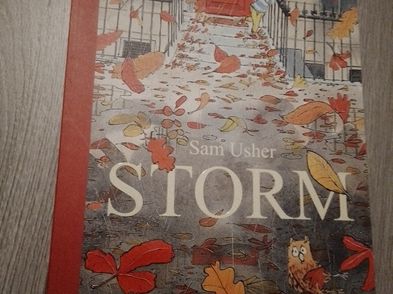 Childrens Book Storm Sam Usher For Sale in Marino, Dublin from ...