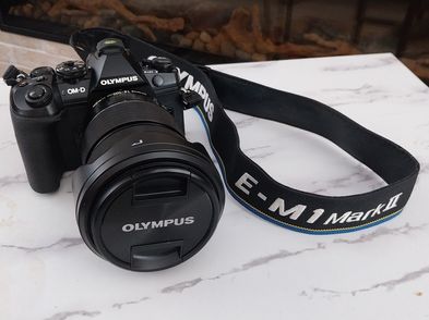 Olympus Omd Em1 Mkii With 12 100mm F4 Lens For Sale in Janesboro ...