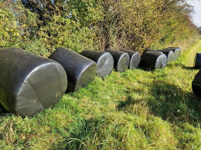 Organic Silage Bales For Sale in Ballinasloe, Galway from donedealuser ...