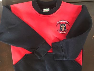 Pe Jumper For Sale in Knocklyon, Dublin from nmosullivan